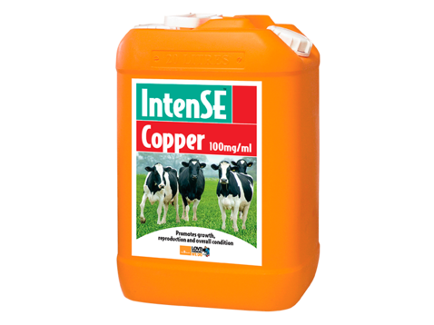 Bell-Booth IntenSE Copper 20L | NZ Farm Source