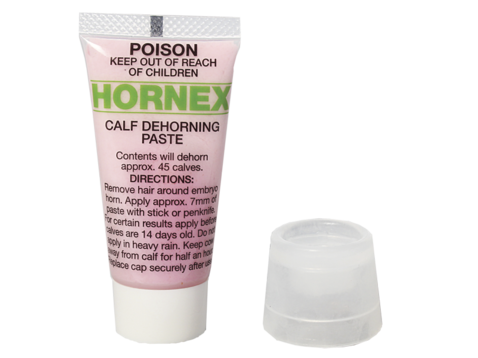 Shoof Hornex Paste 20g | NZ Farm Source