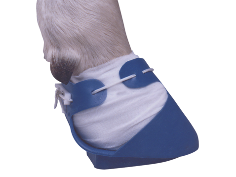 Shoof Cattle-Shoof Standard Pink | NZ Farm Source