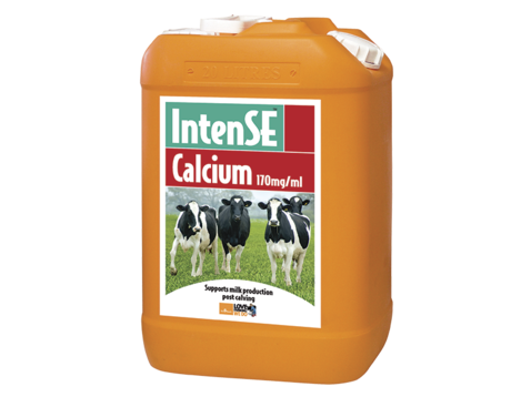 Bell-Booth IntenSE Calcium 20L | NZ Farm Source