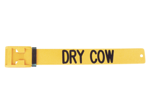 Shoof Dry Cow Leg Band Orange | NZ Farm Source