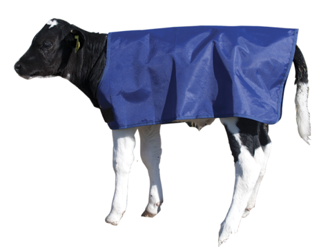 Shoof Calf Cover Small 68cm | NZ Farm Source