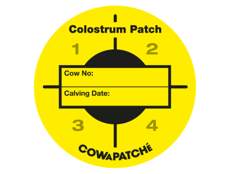 Shoof Cow Patch 20-pack Colostrum | NZ Farm Source