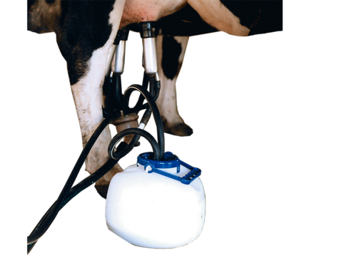 Shoof Quartermilker 8L | NZ Farm Source