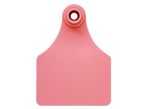 Allflex Eartag Lazatag Female Pink Large | NZ Farm Source