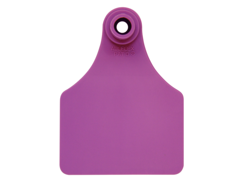 Allflex Eartag Lazatag Female Purple Large | NZ Farm Source