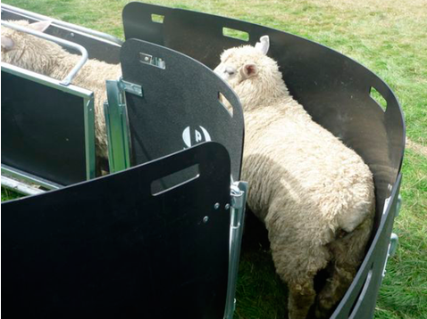 Plasback Tuff Board 1.2m x 2.4m x 12mm | NZ Farm Source