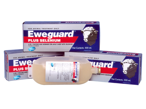 Eweguard Plus 6 in 1 Vaccine & Wormer + Selenium Injection 500ml | NZ ...