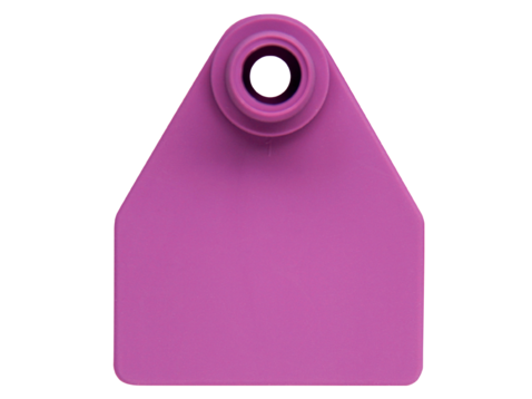 Allflex Eartag Lazatag Female Purple Small | NZ Farm Source