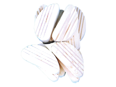 Shoof Bovi-Bond Hoof Wood Block 12 Pack | NZ Farm Source