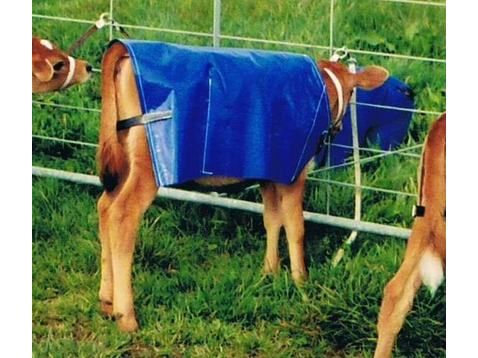 Duncans Canvas Poly Cow Cover Lined 4'9 | NZ Farm Source