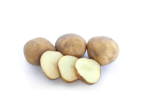 Rocket Seed Potatoes 3kg | NZ Farm Source