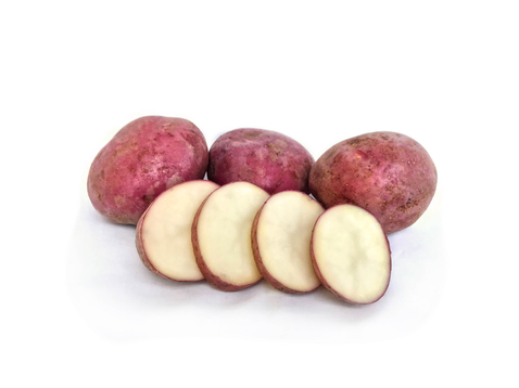 Red Rascal Seed Potatoes 3kg | NZ Farm Source